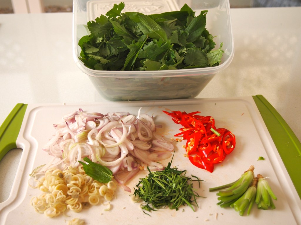 Thai Grilled Beef Salad – Yam Neua | Mustard With Mutton